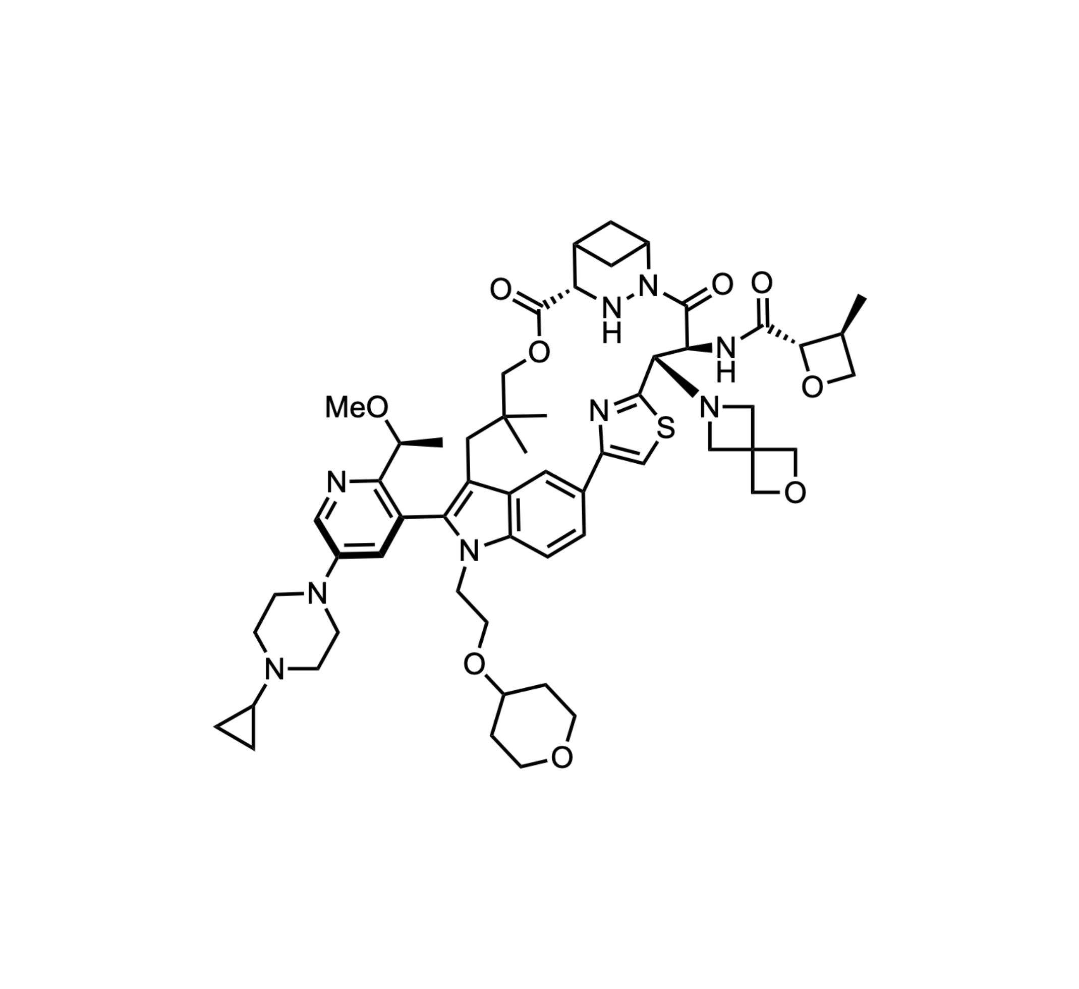 Drug Hunter - drug discovery, distilled