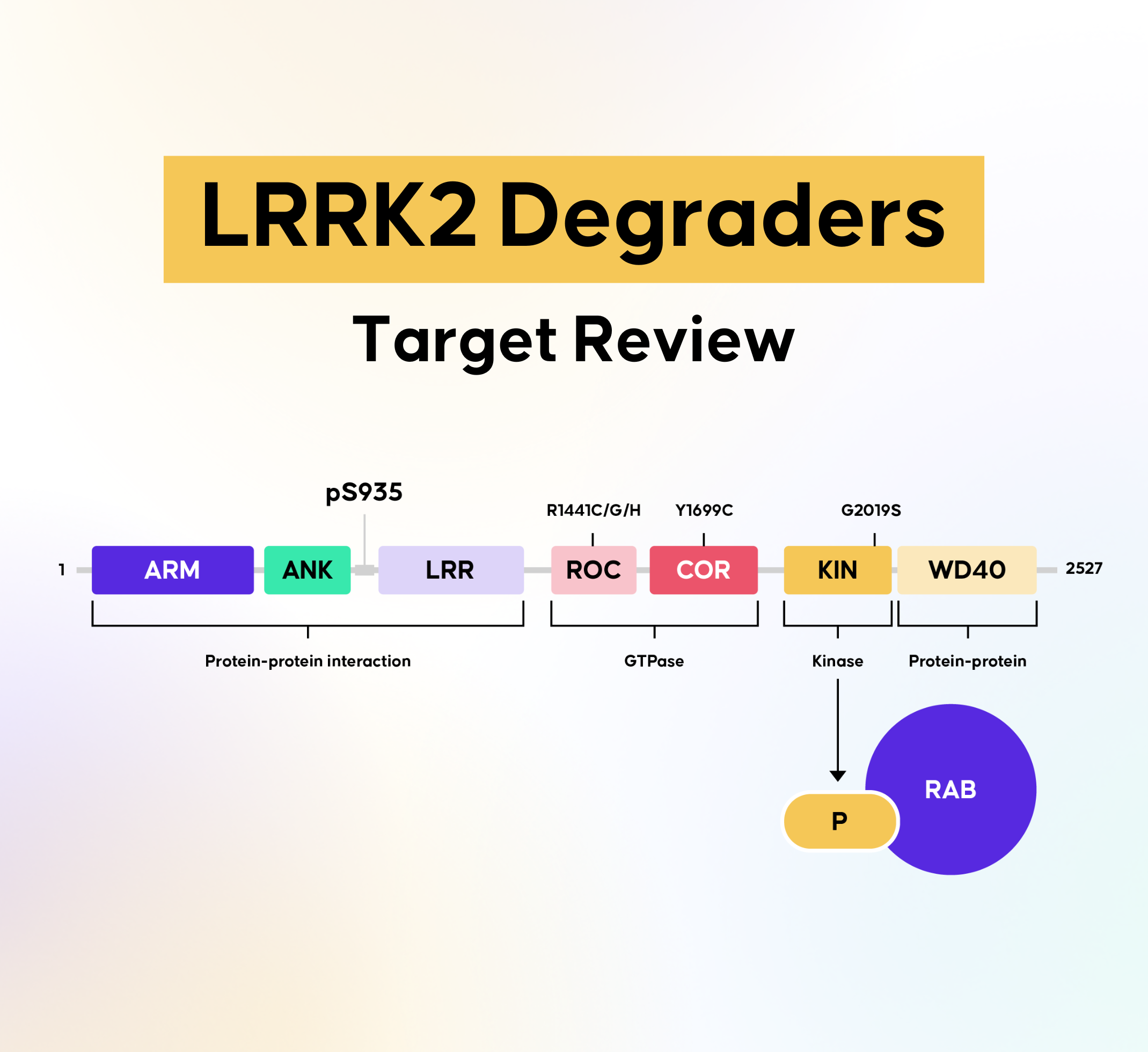 HBS1L: A Hot Synthetic Lethality Target with a Molecular Glue Degrader ...