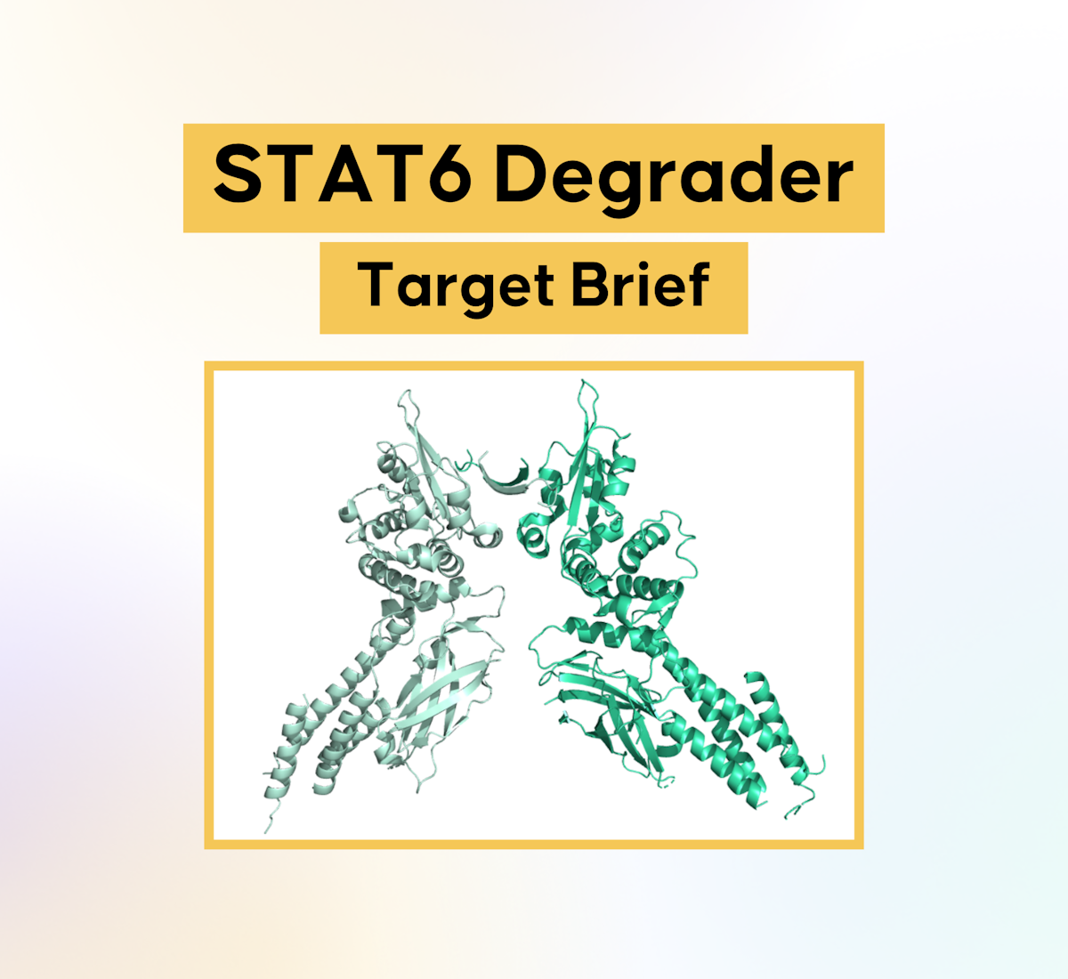 STAT6: A Challenging Target Gains Traction Utilizing Degraders for Th2 ...