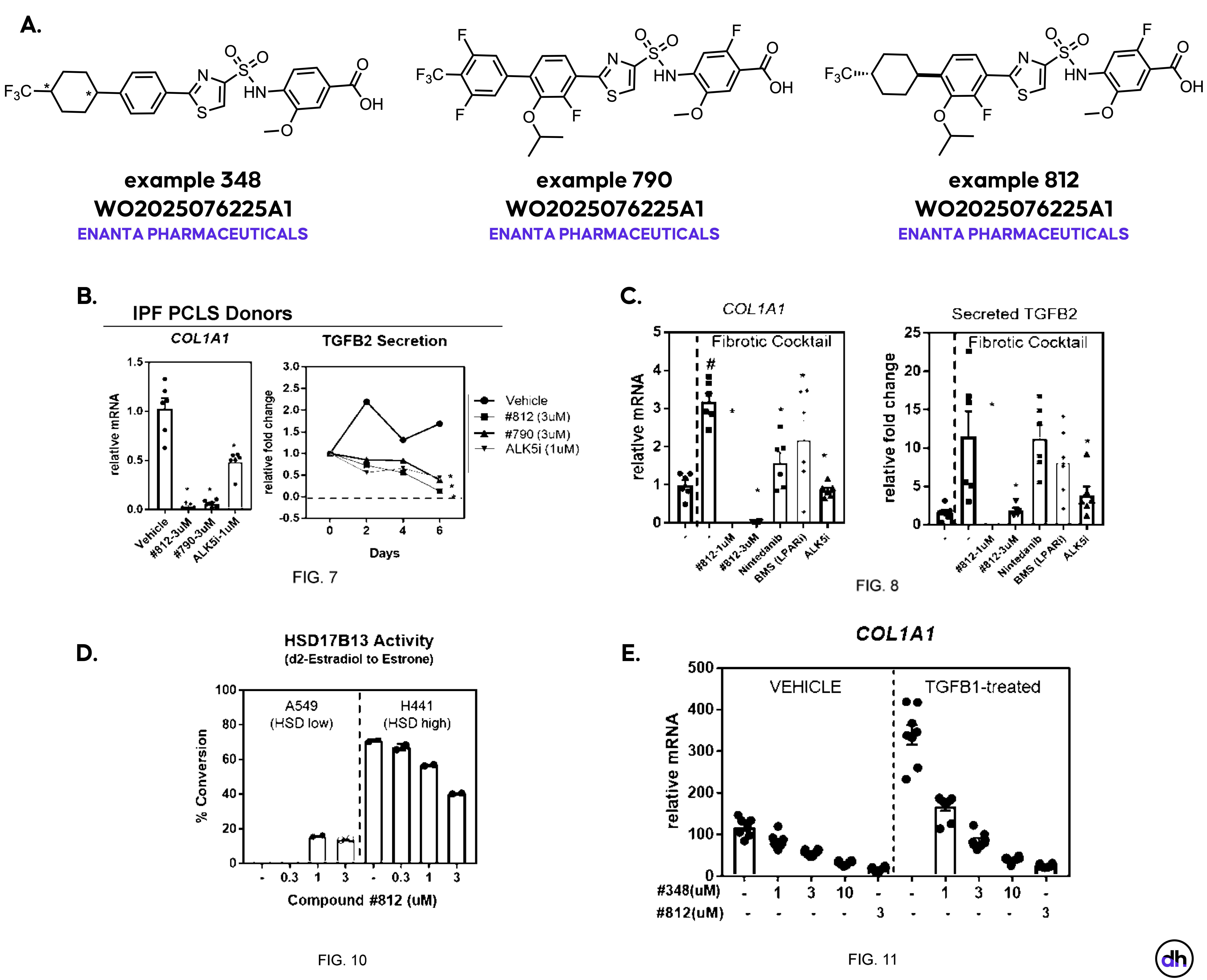 Targeting 17β-HSD13: Emerging Patent Landscape in Fibrosis and MASH
