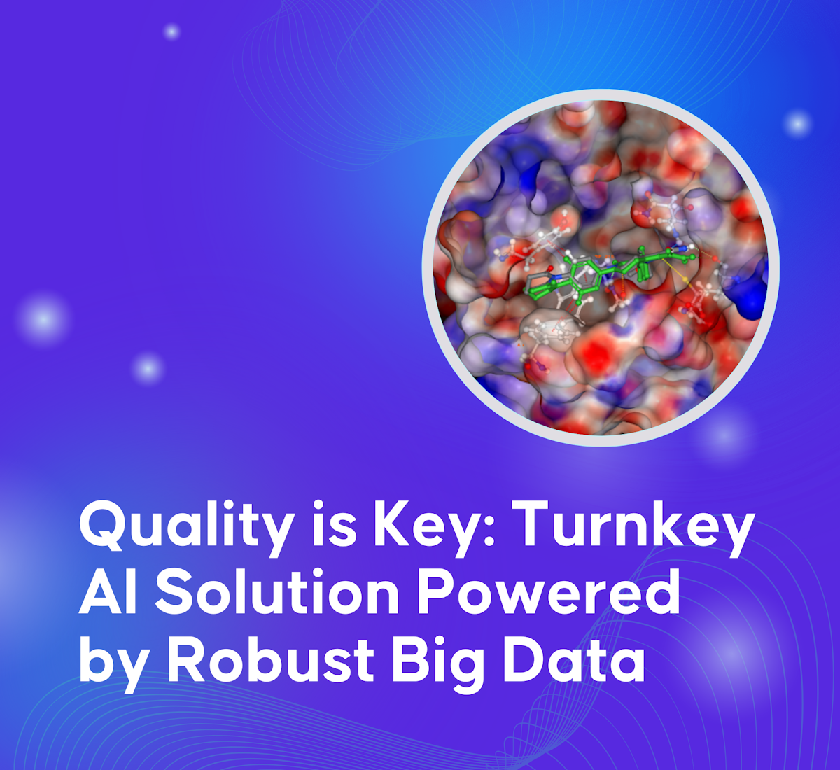 Quality is Key: Turnkey AI Solution Powered by Robust Big Data