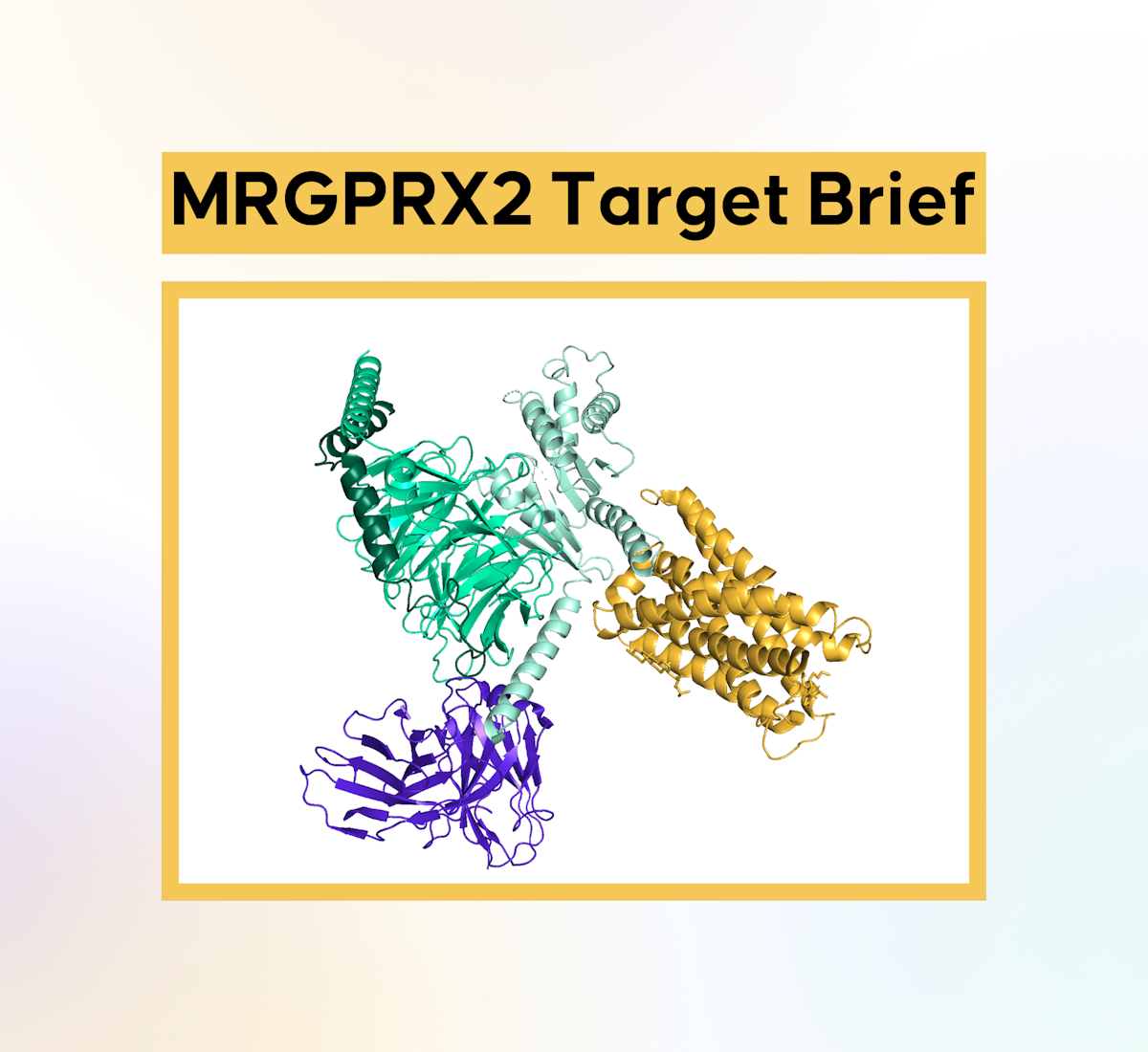 MRGPRX2 in Immunology: Why is the Field Heating Up?