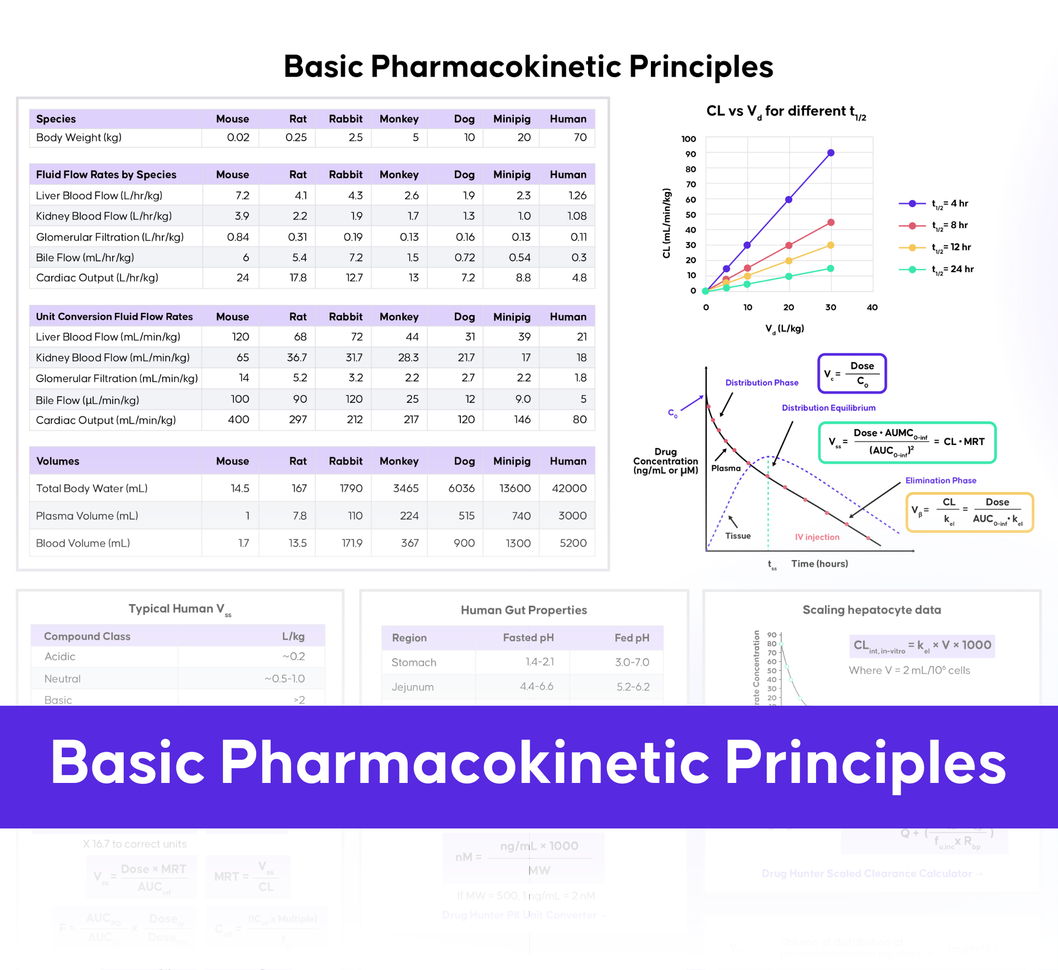 Why pKas Matter in Medicinal Chemistry and a Drug Discovery Amine pKa Table