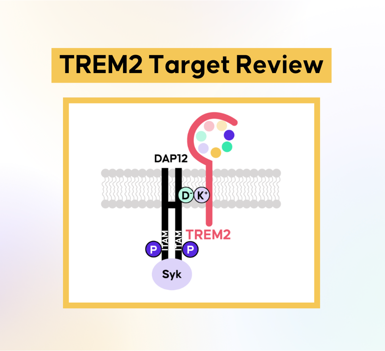Classics in Drug Discovery: A History of the Statins