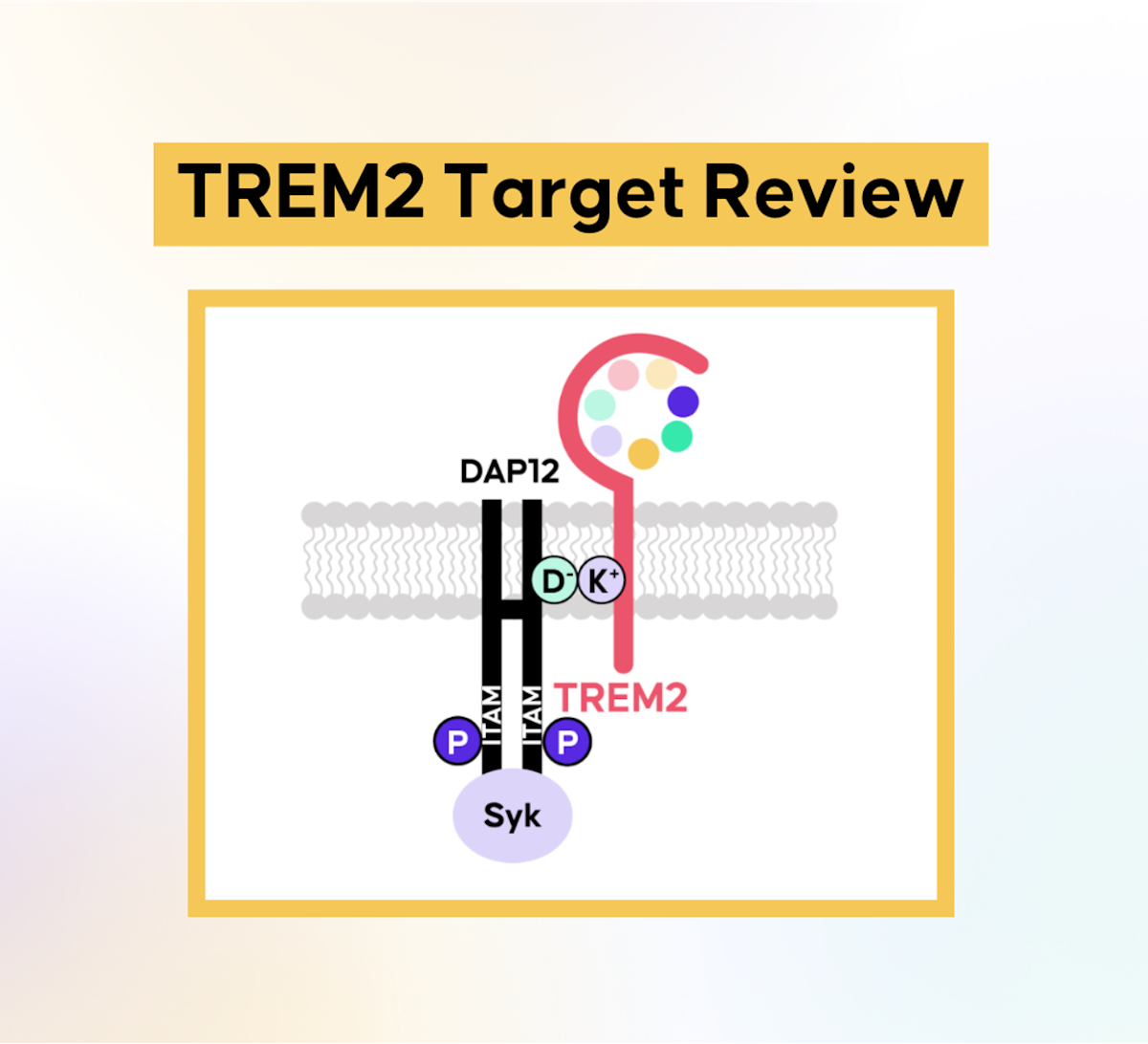 Will TREM2 Agonists Be the Next Paradigm Shift in Treating ...