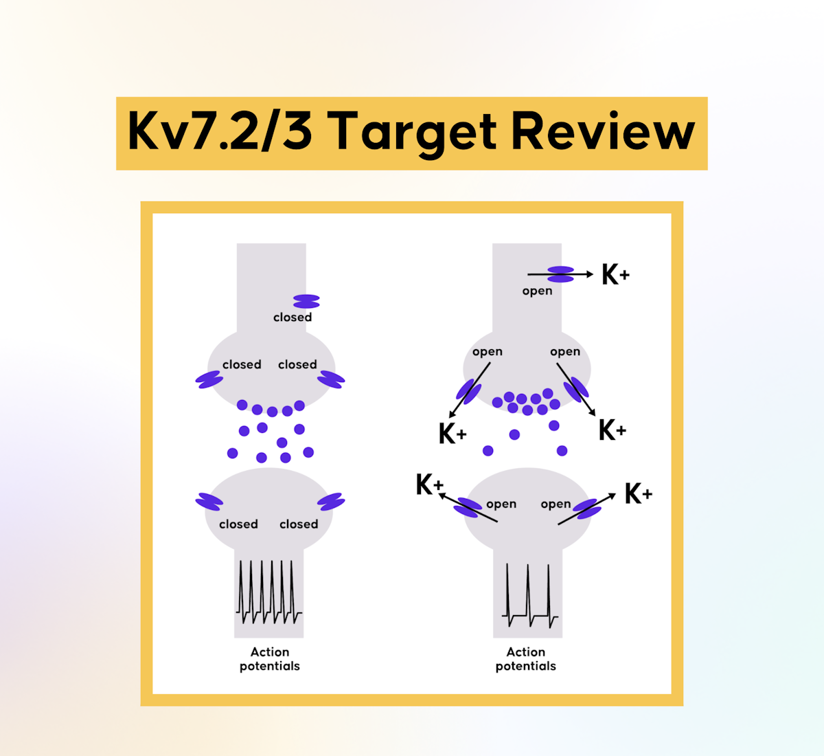 Beyond Retigabine: Can Next-Generation Kv7.2/3 Activators Deliver in ...