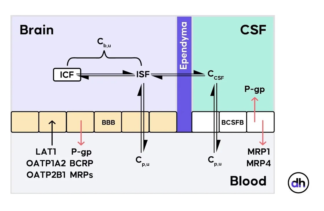 Breaching the CNS Firewall: How Did This Get Into the Brain?