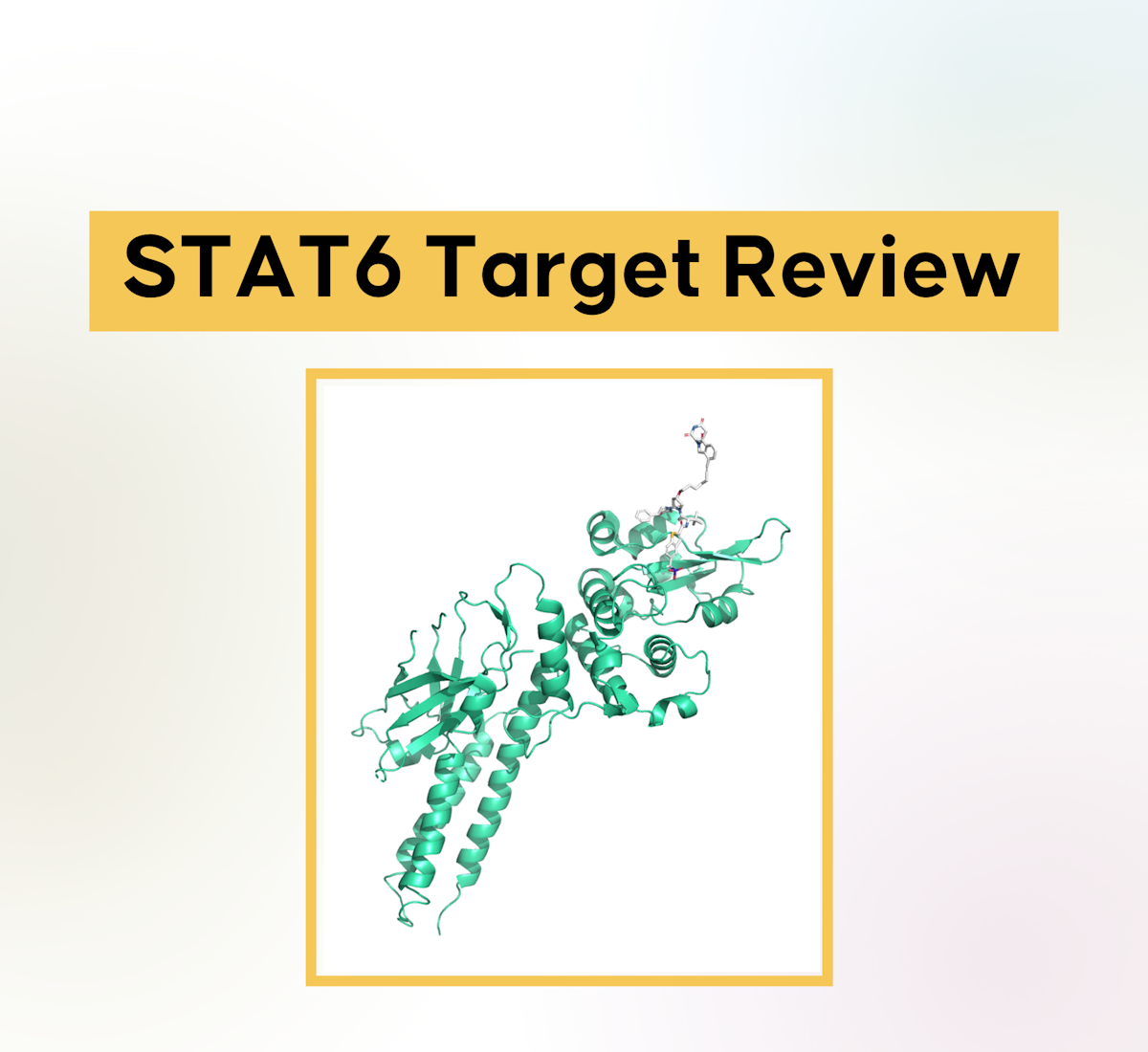 STAT6: A Challenging Target Gains Traction Utilizing Degraders for Th2 ...
