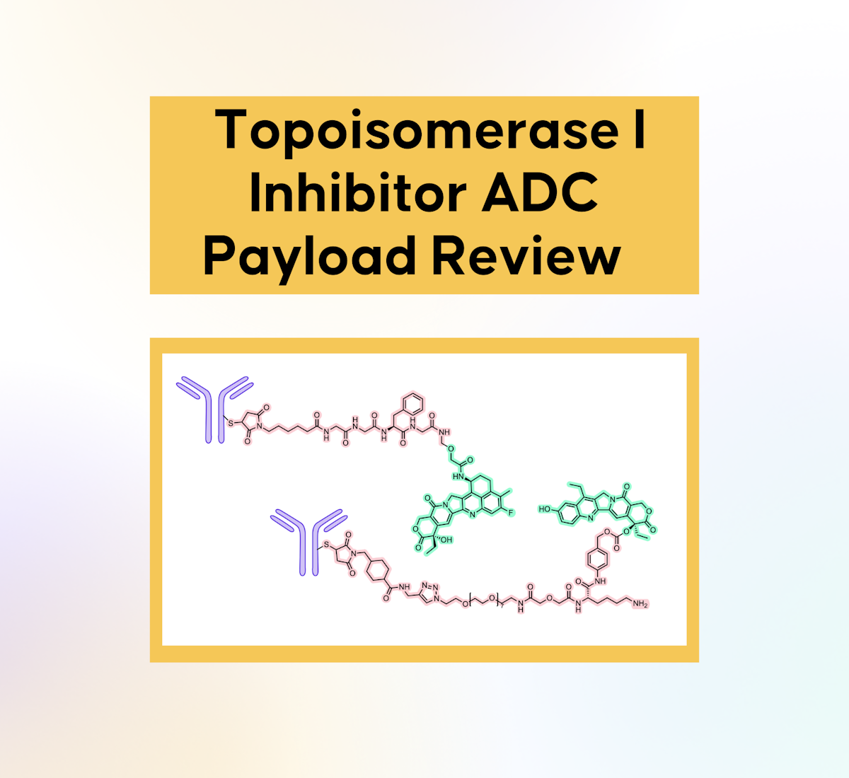 ADCs With Topoisomerase I Inhibitor Payloads Are Challenging Standards ...