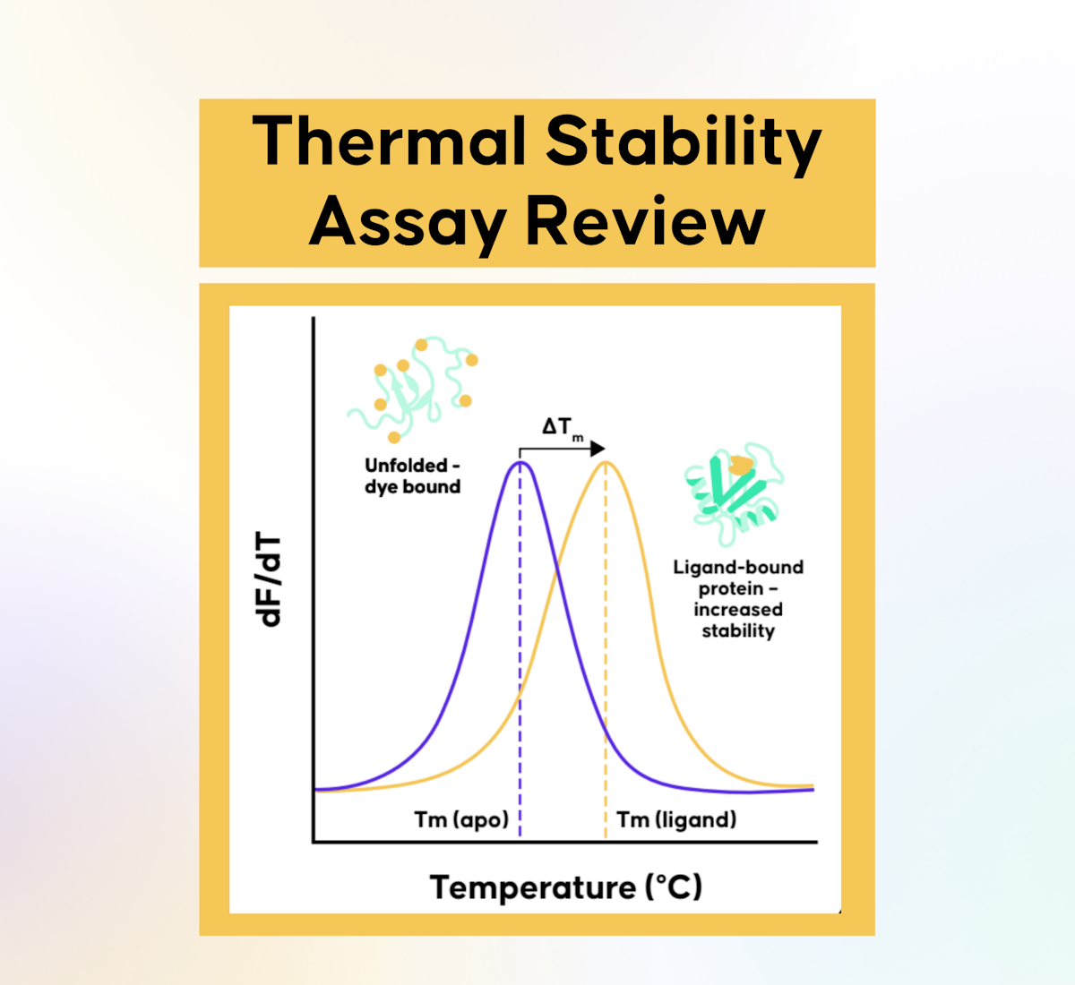Thermal Stability Assays as Tools to De-Risk Discovery