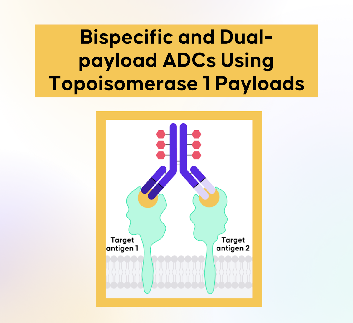 More Firepower Per Molecule: Bispecific and Dual-Payload ADCs Push for ...