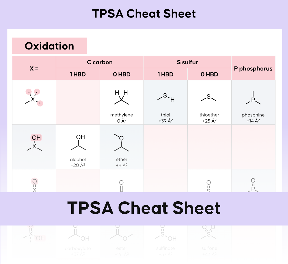 Topological Polar Surface Area Cheat Sheet