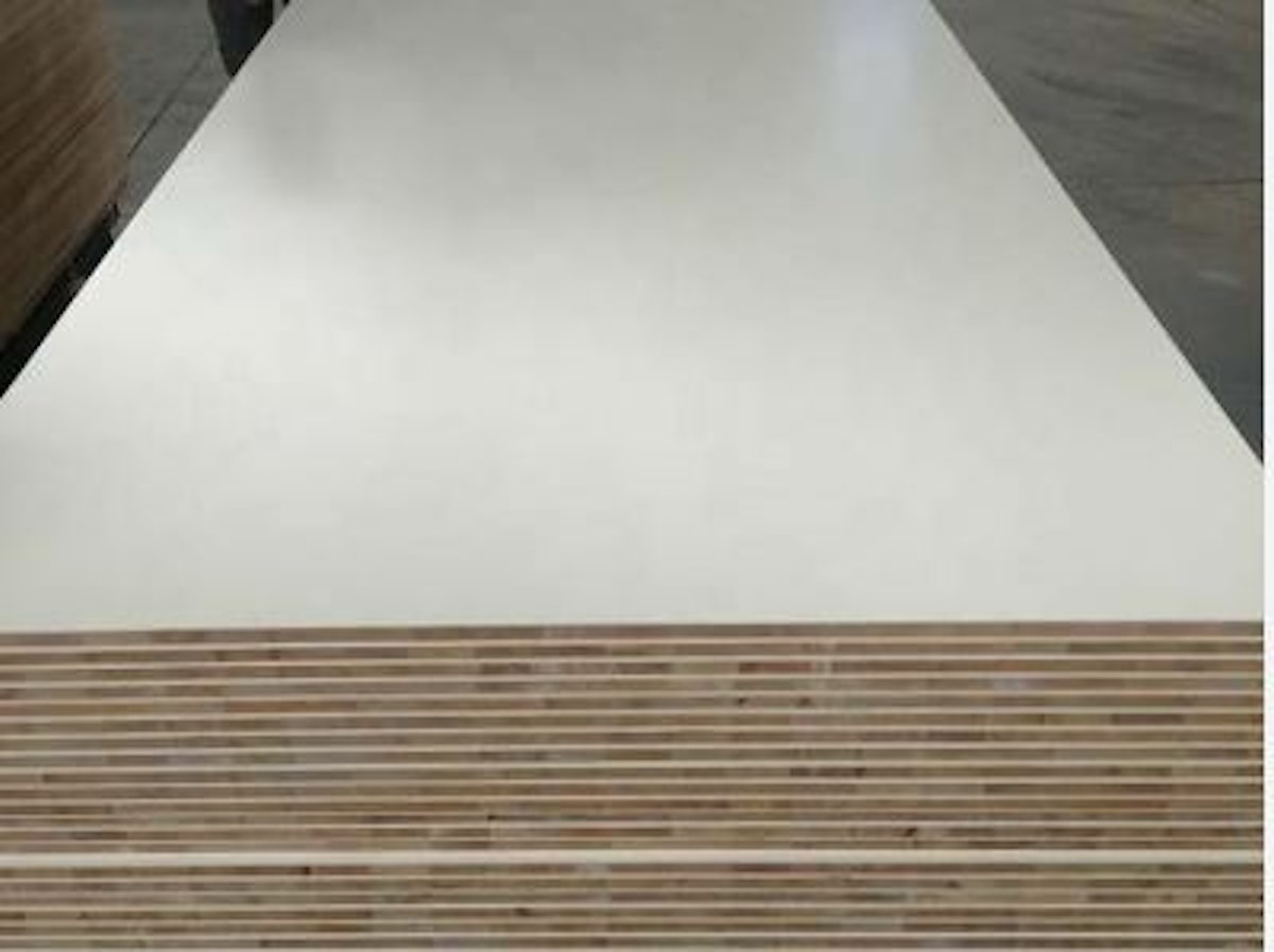 Daftar Harga Triplek Melamine Lengkap 2024 | Master Plywood