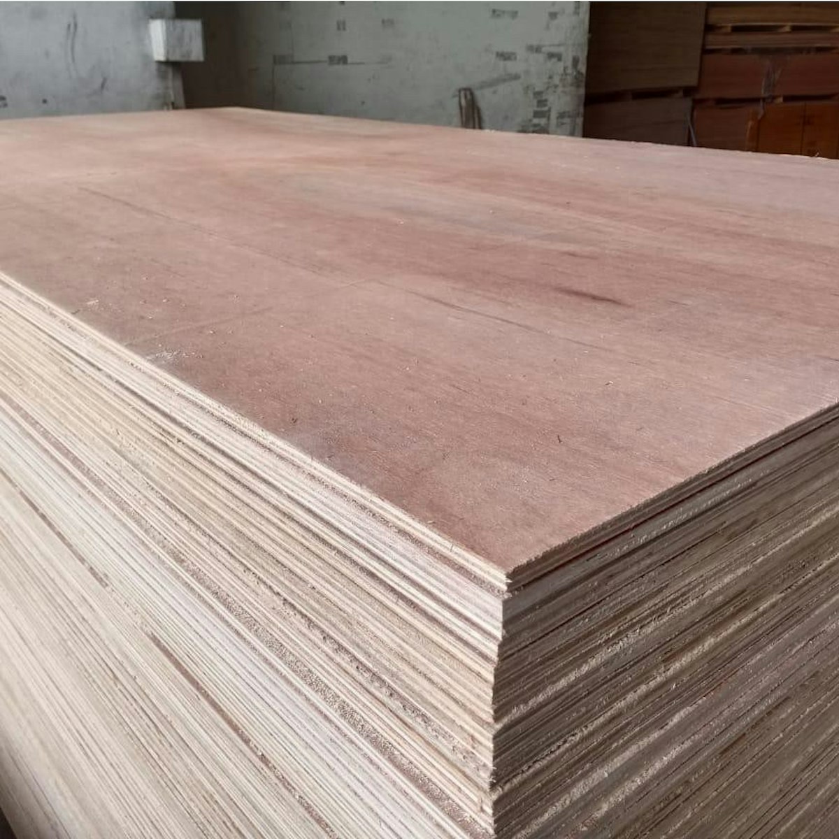 Triplek Murah Jakarta 2025 di Master Plywood