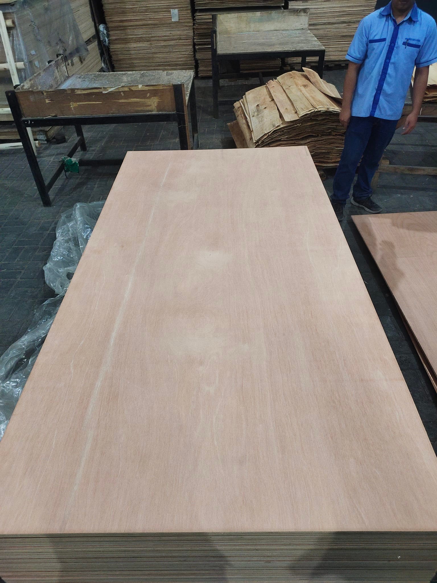Triplek BBCC Merah | Master Plywood