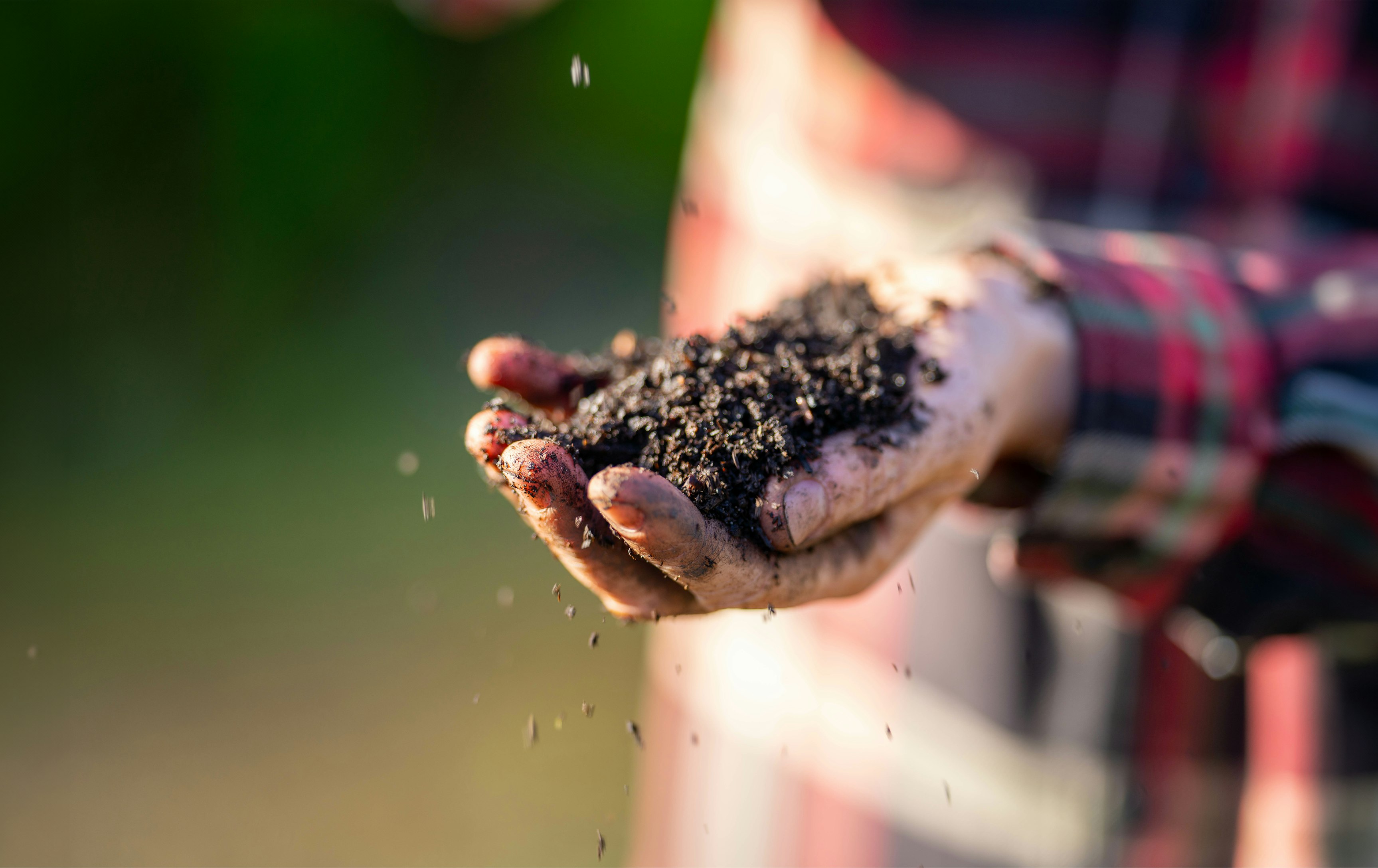 Soil Testing for a Great Lawn on Your Large Property | Yakta