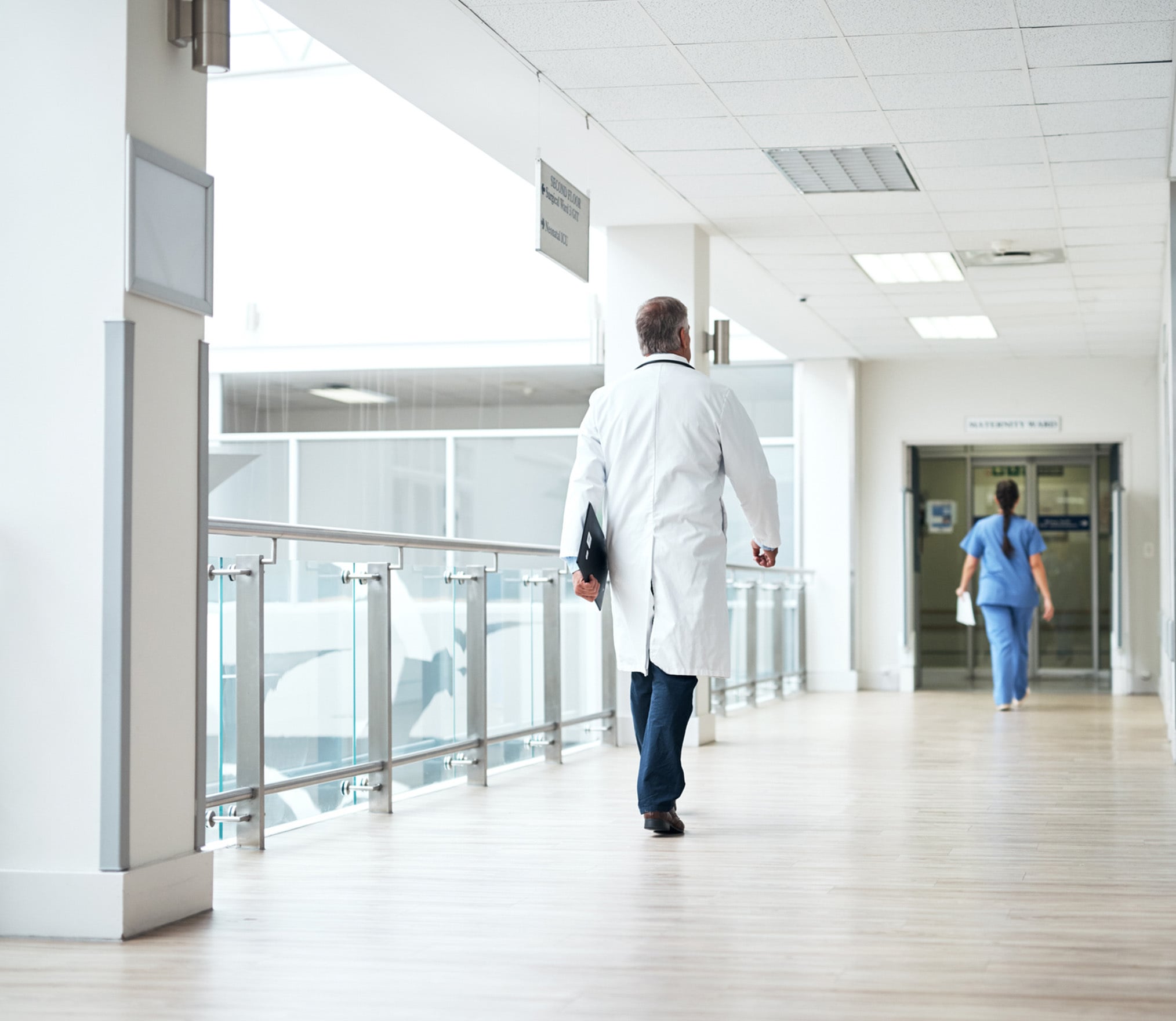 Dr. Albert of NYC | Curriculum Vitae - Albert Plastic Surgery