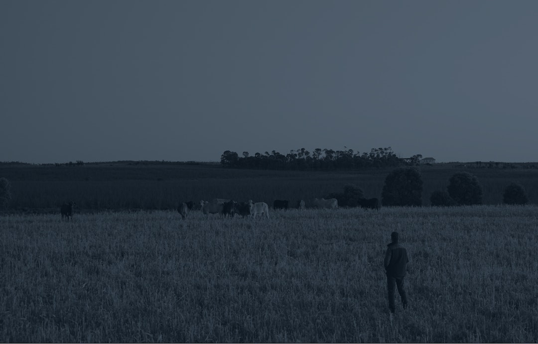 Sustainable Organic Fertiliser | Mort & Co Fertiliser