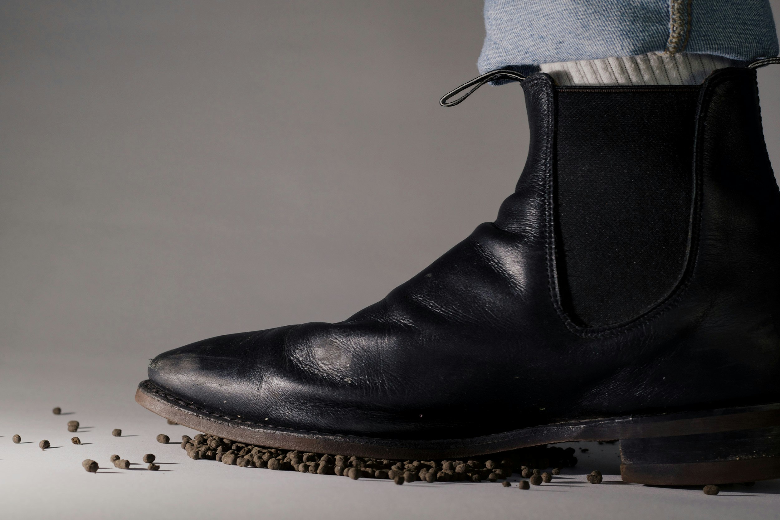 Sustainable Organic Fertiliser | Mort & Co Fertiliser