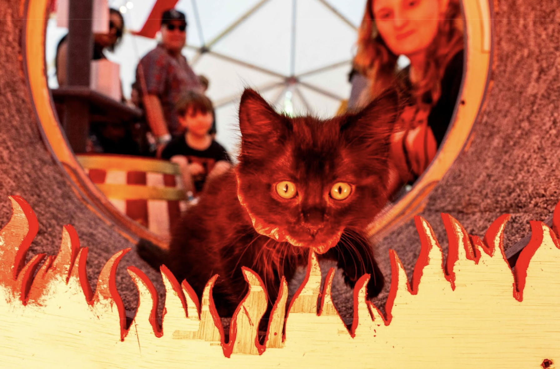 Artists | Bumbershoot Music and Art Festival