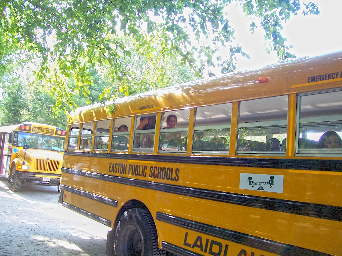 Bus Transportation to Camp | Maplewood Day Camp Easton MA