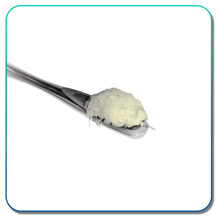Bone Regeneration Products