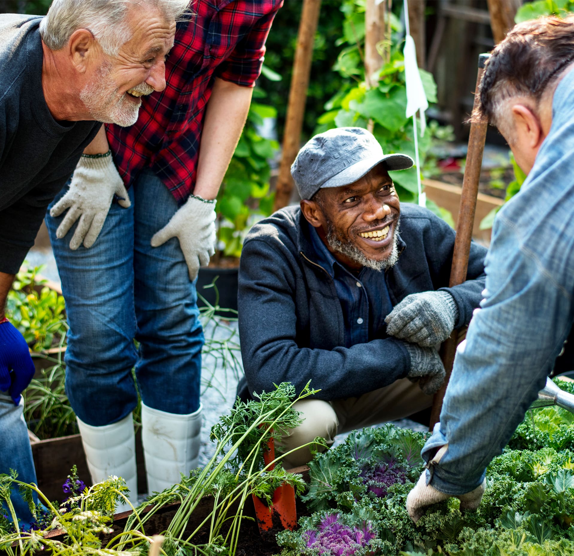 Patient Community | Hyperthermia Cancer Institute