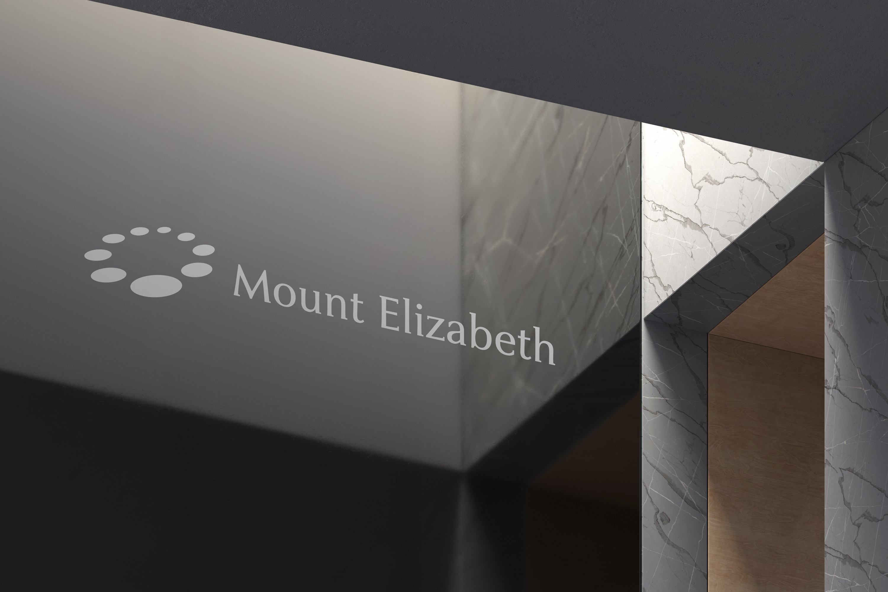 Logotipo Del Hospital Mount Elizabeth 4+ Hundred Elizabeth Hospital