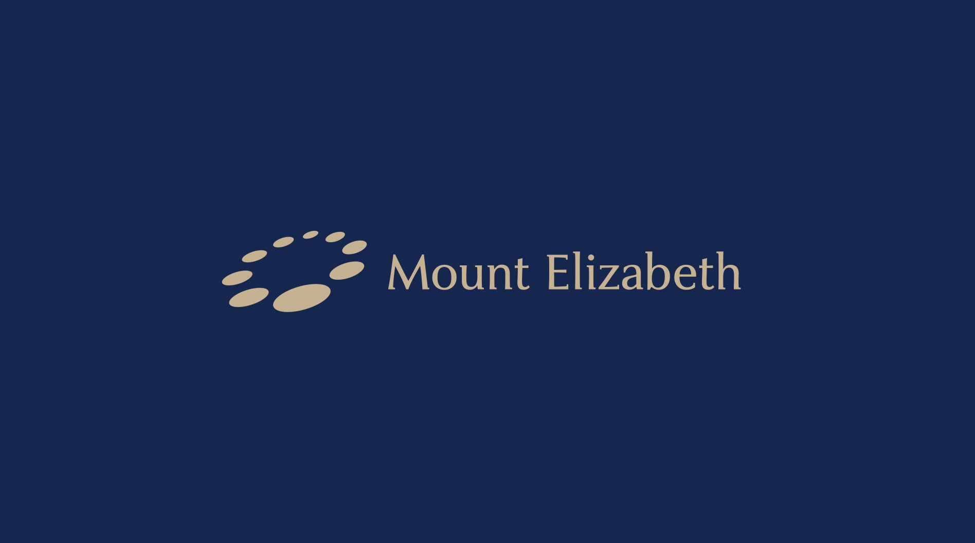 Practice Theory — Mount Elizabeth Hospital
