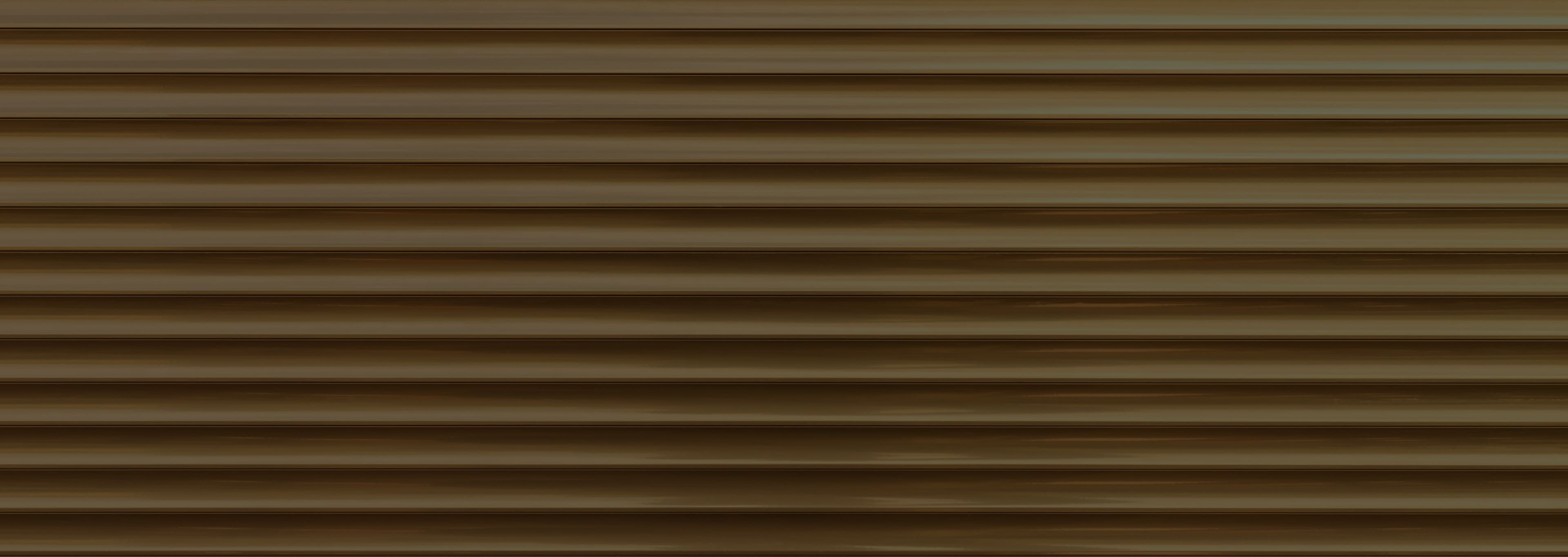 Brazilian Butt Lift in Dallas, TX | Dr. Ricardo Meade