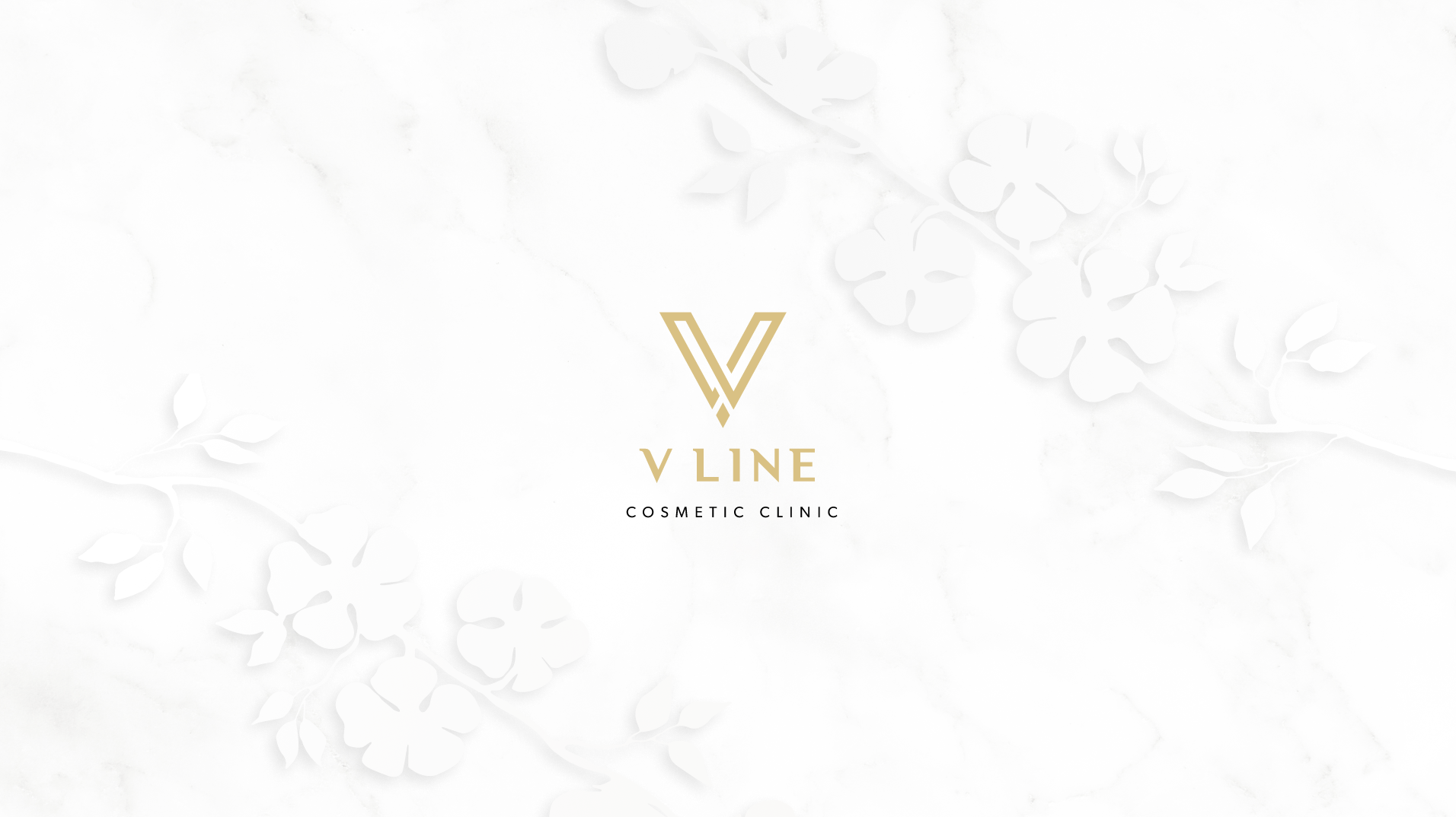 Our Luxurious Standards | V Line Cosmetic Clinic
