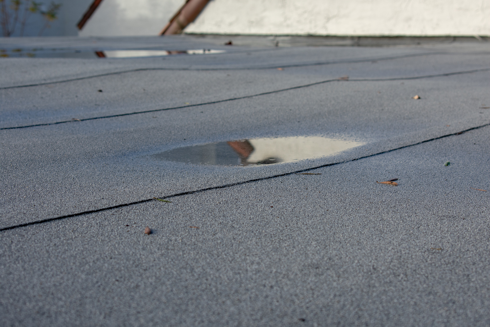 How to Handle Ponding on a Flat Roof | LOA