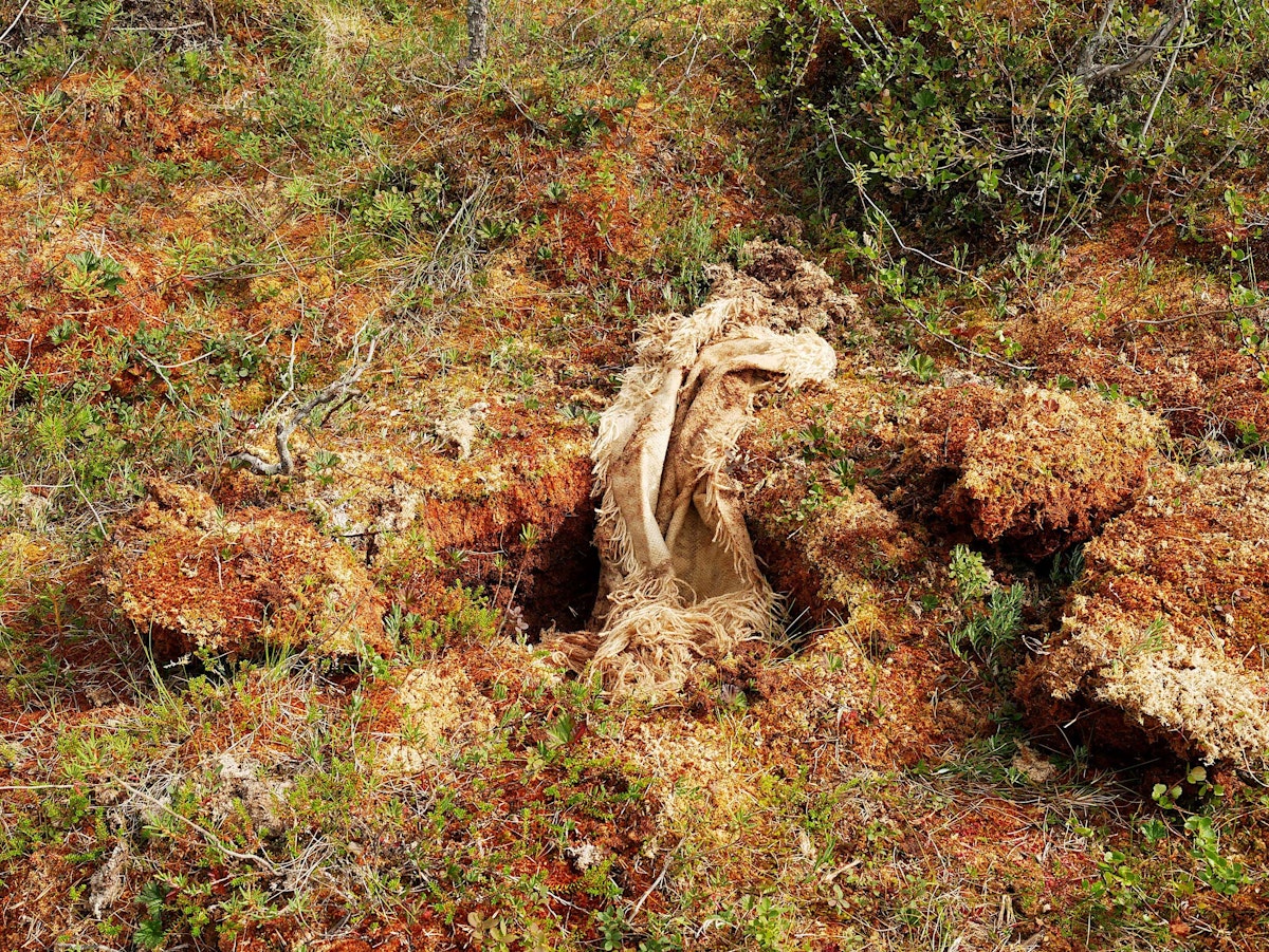 Luleåbiennalen — Ida Isak Westerberg