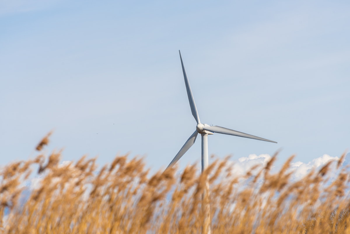 Making Every Wind Power Asset Count at the Right Time