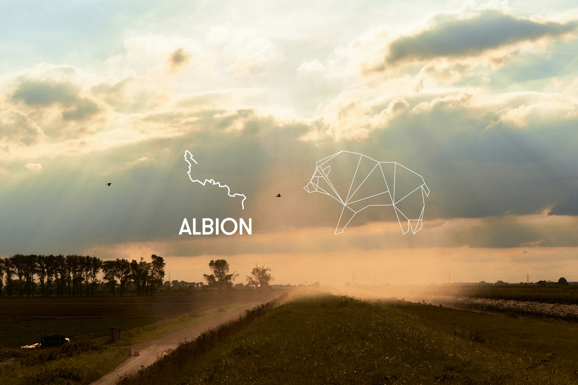 Albion - Events