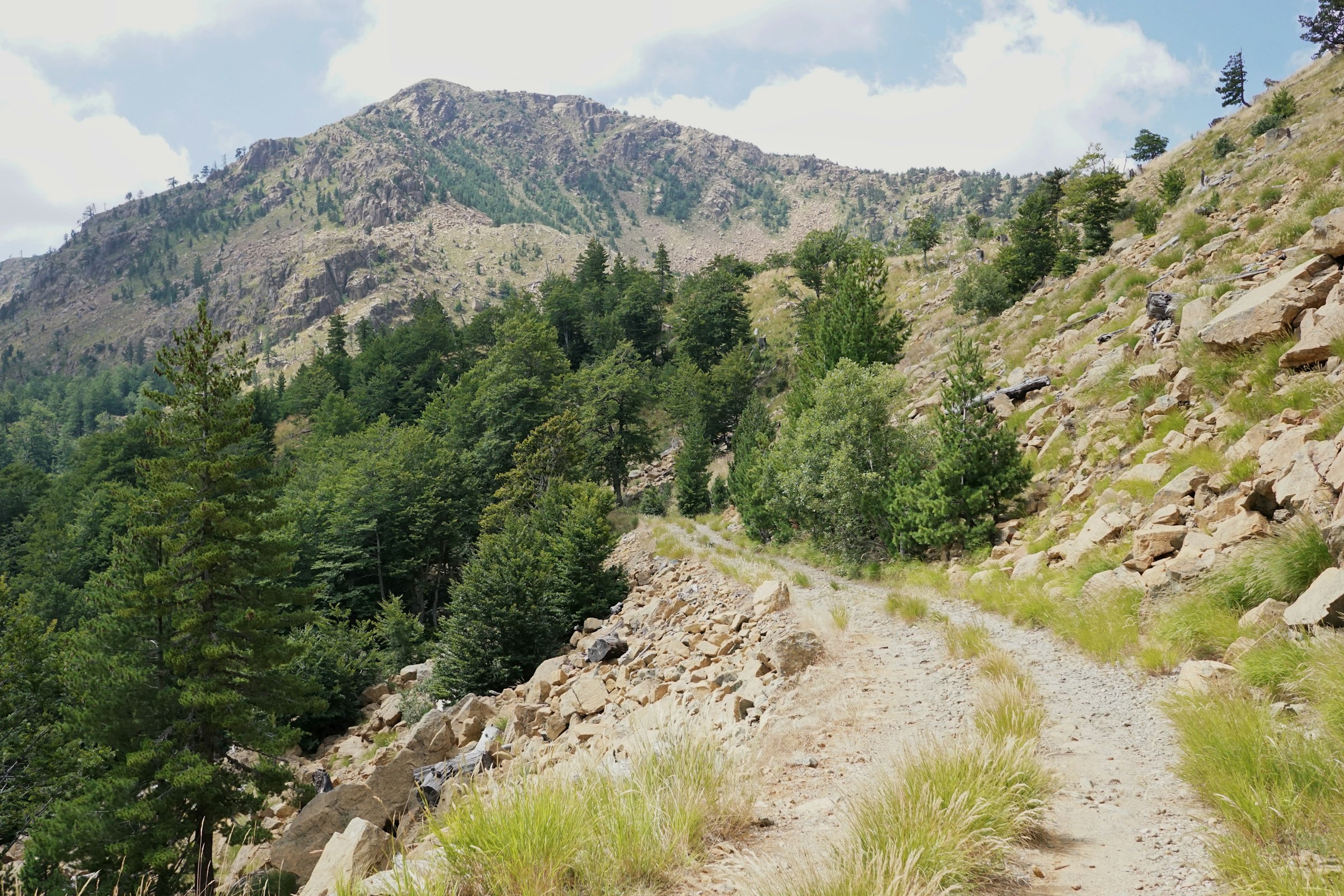 The Accursed Race | Log | Albion