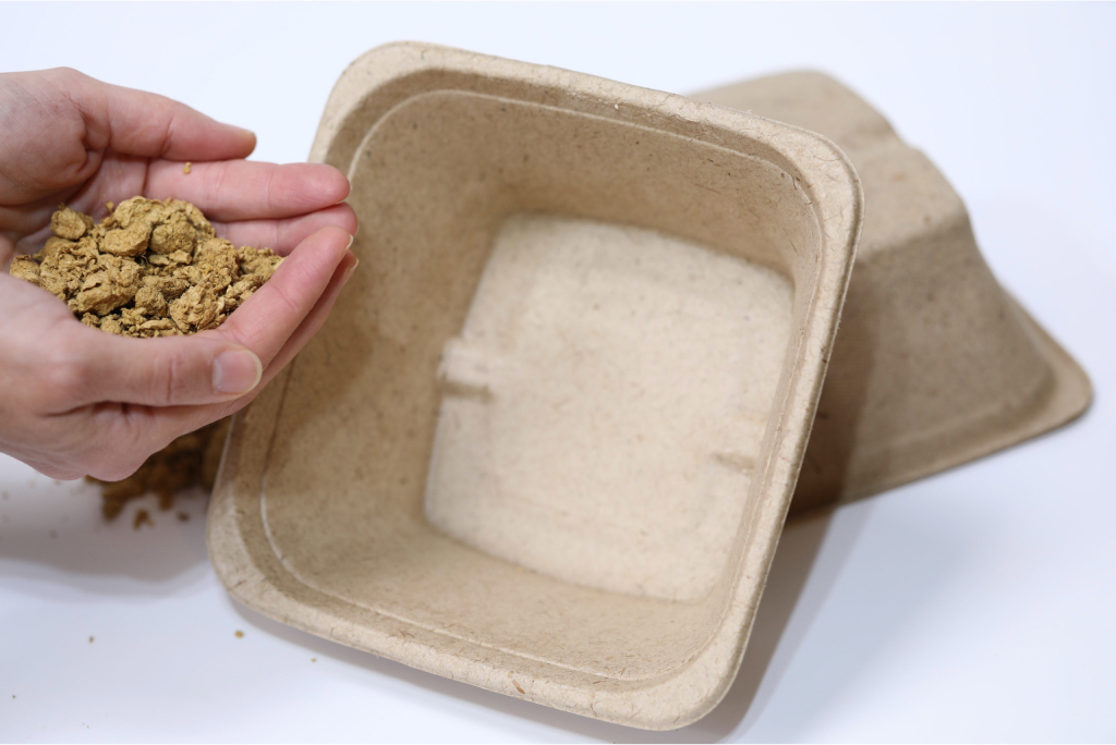 NEXT GEN Solutions to make packaging and textiles