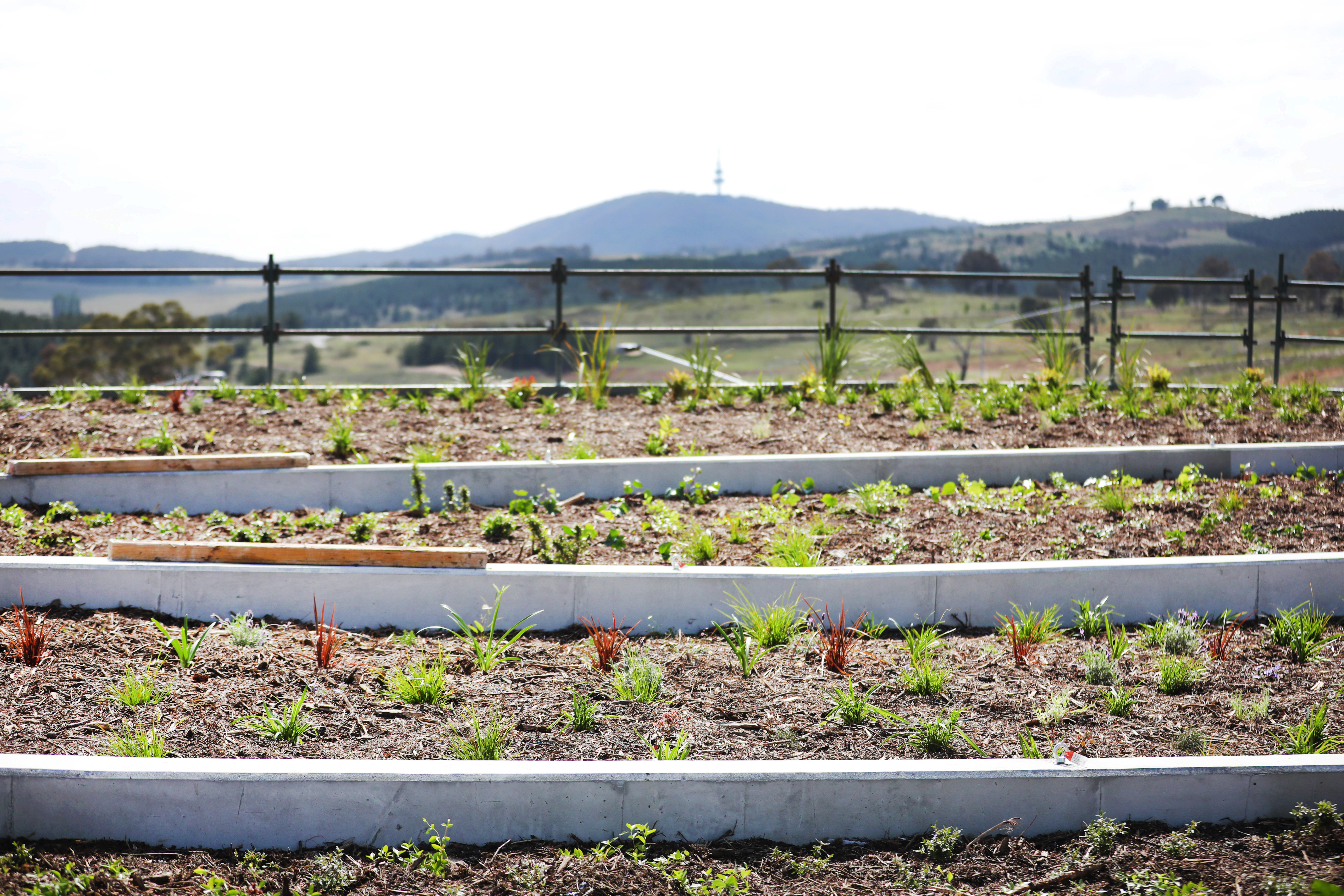 Denman Prospect | Canberra's largest green roof unveiled at Denman Prospect
