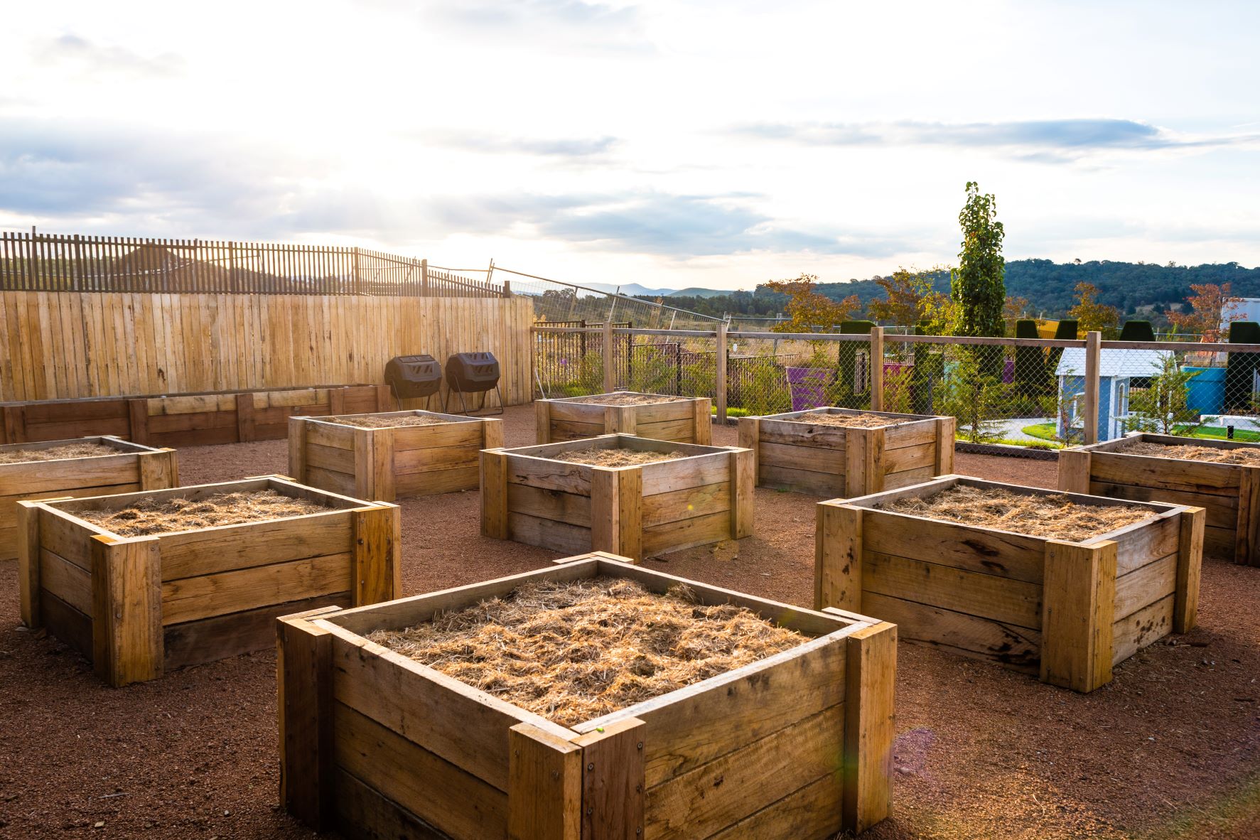 Denman Prospect | Denman Prospect Temporary Community Garden