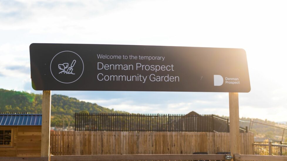 Denman Prospect | Denman Prospect Temporary Community Garden