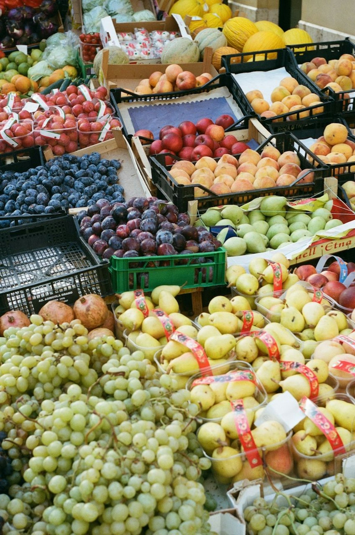 5 Ways to Choose Your Food - WTFork