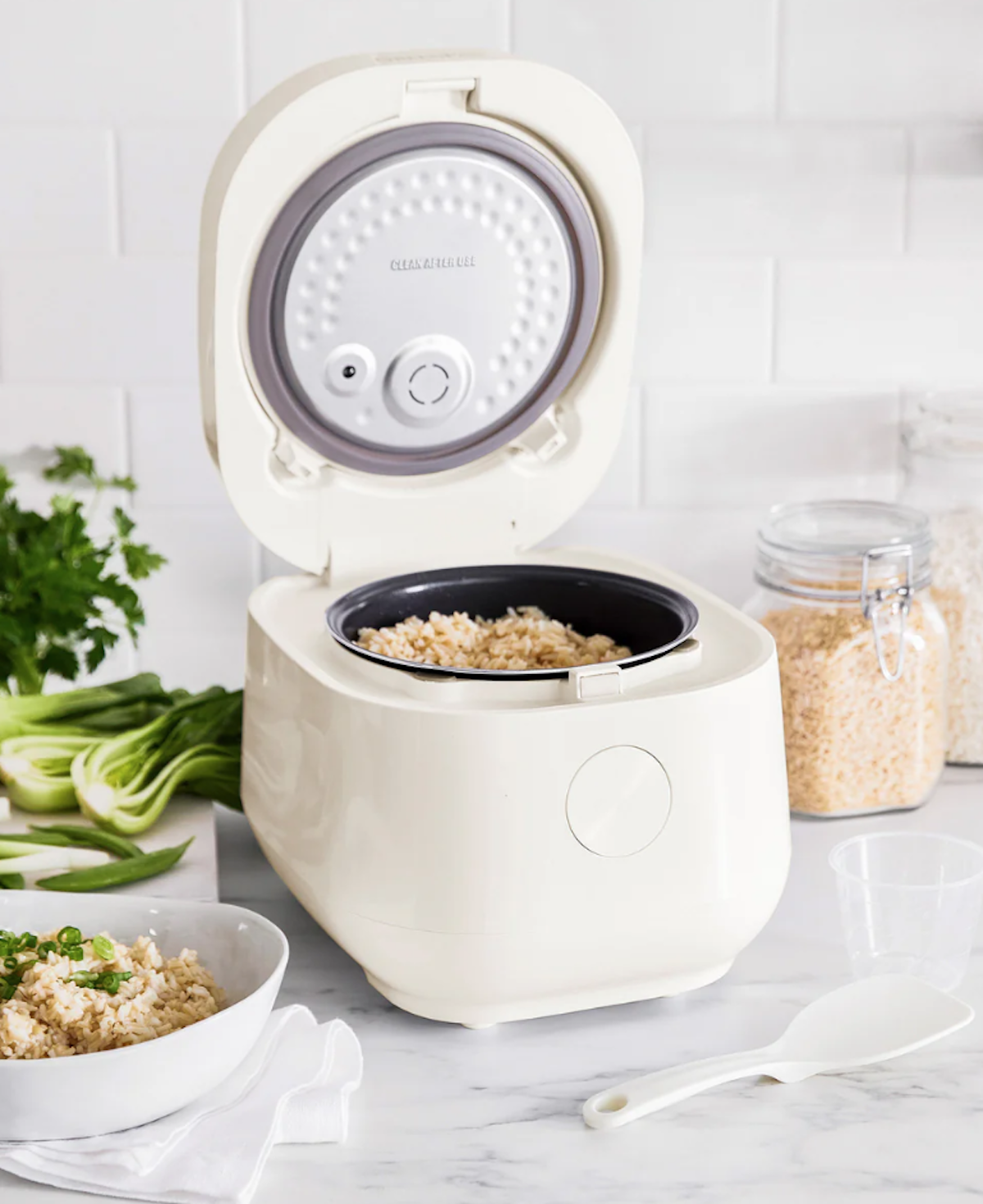 GreenPan Rice Cooker - WTFork