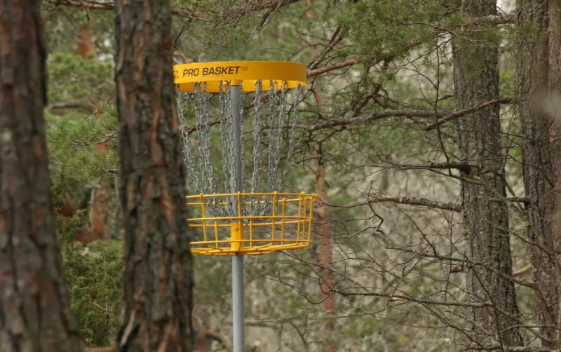 Brian Barrow Joins the Developer Relations Team - Deepgram Blog ⚡️ ...