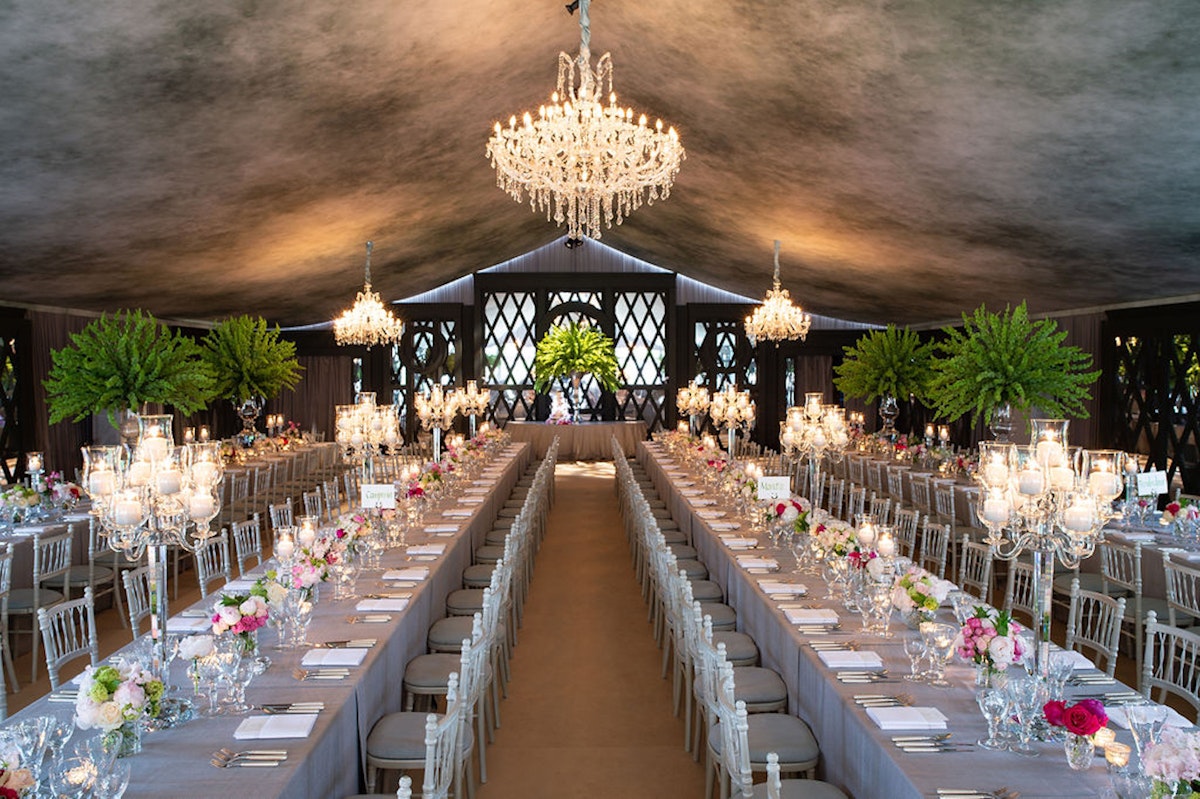 Albion Parties | HOPP