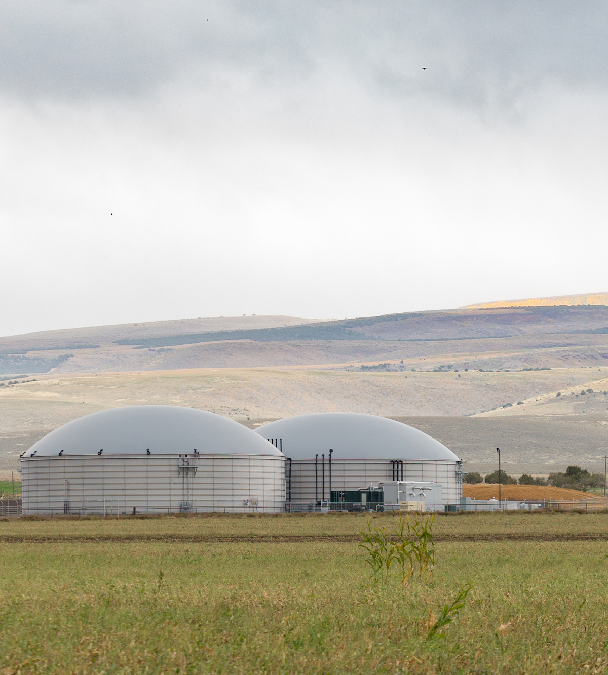 Sustainable Manure Management for Small Dairy Farms: The Challenges and ...