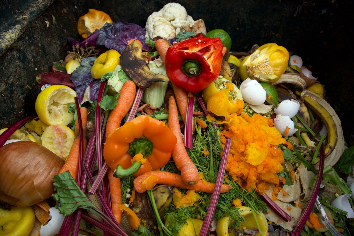 Sustainability in Legislation: The Rise of Organic Waste Bans