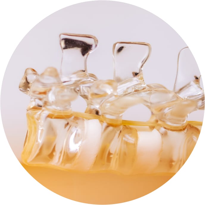 Orthopedic Spine Surgeon Los Angeles, Ca | Spinal Fusion - Dr. Leonel Hunt