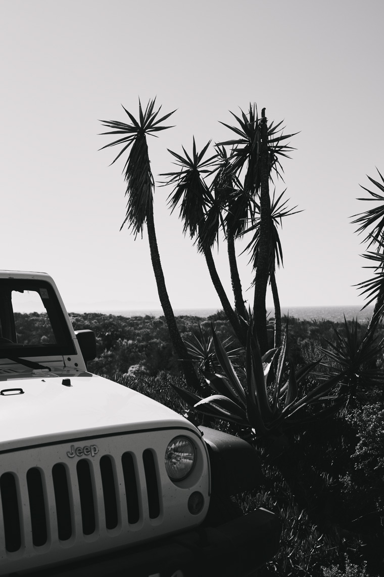 Diana Yen — PEDEN+MUNK