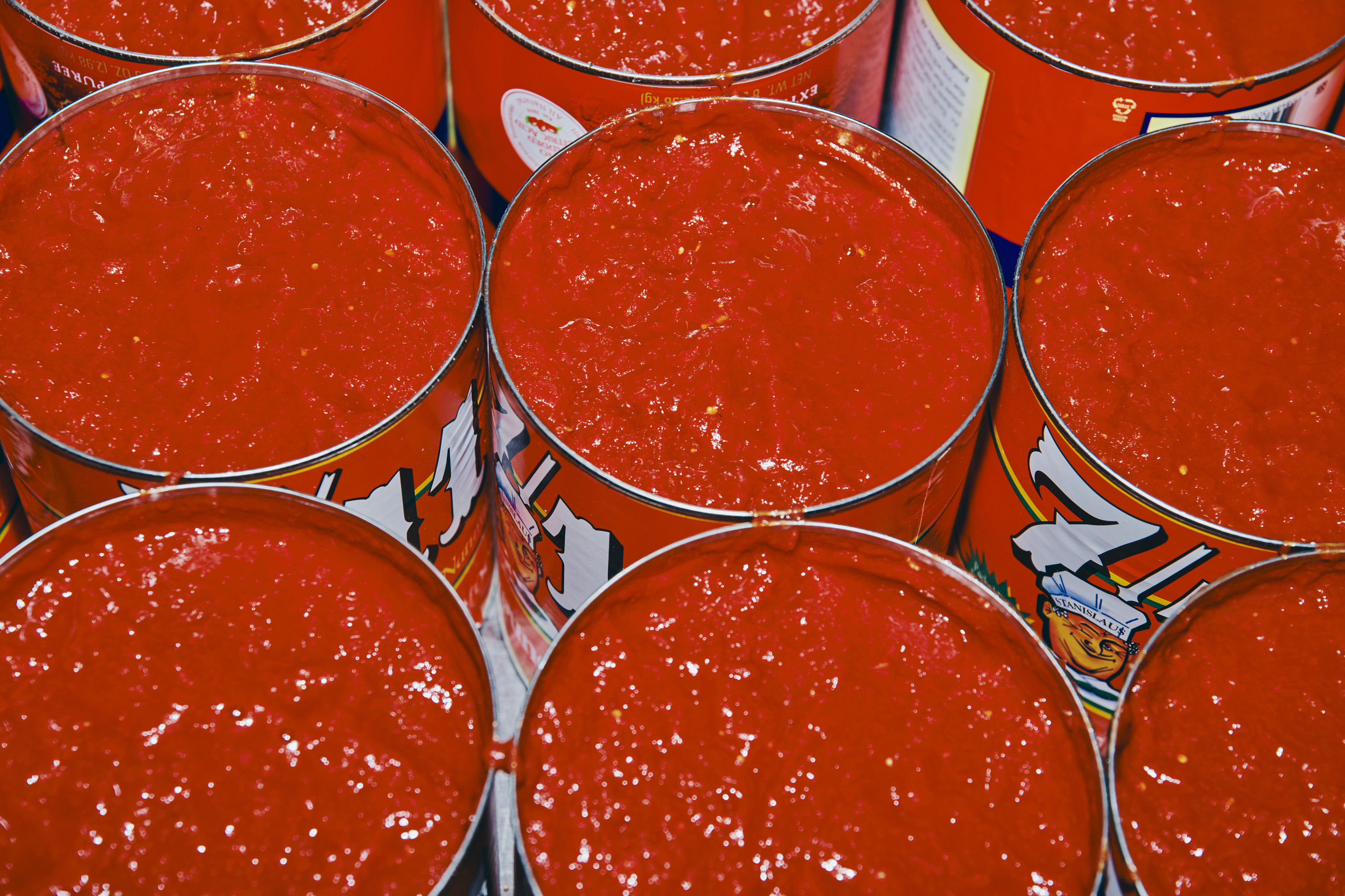 Sally's Apizza — PEDEN+MUNK