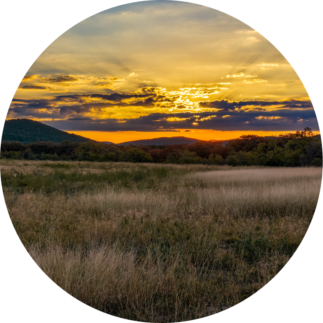 Austin Radiology and MRI Services | Longhorn Imaging